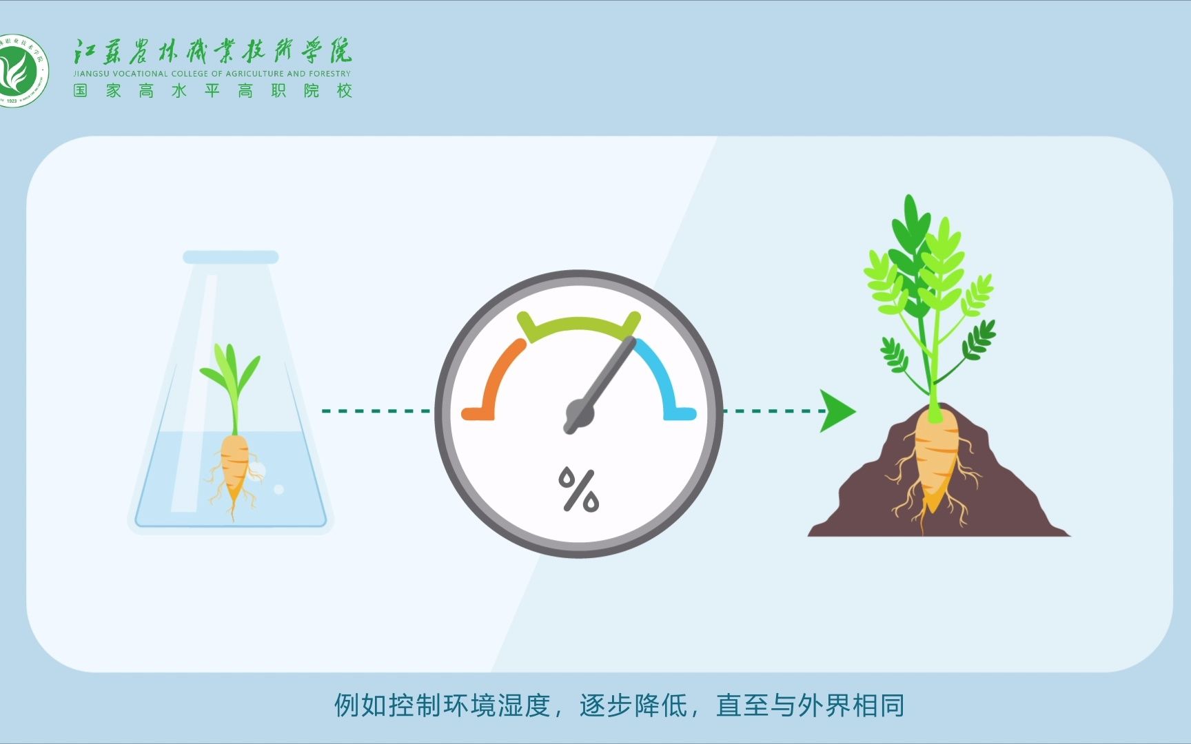 植物组织培养简介