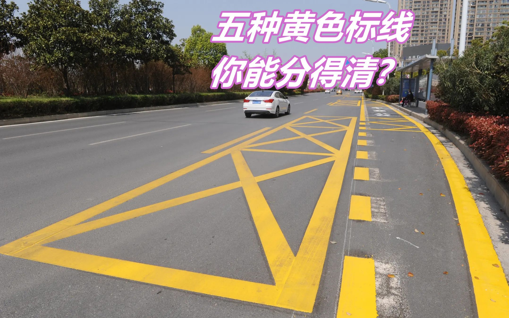 五种黄色标线,你能分得清各自的作用吗?一不小心就会被扣分罚款
