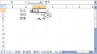 Excel2007经典视频教程-图表3