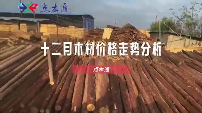 2022年最后一份木材价格密报,请查收!#建筑工地 #建筑木方