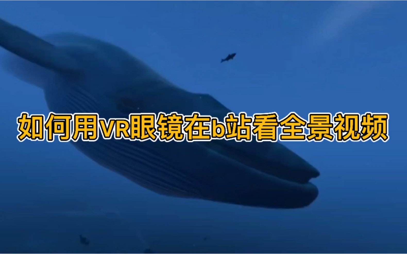 如何用VR眼镜看b站的全景视频