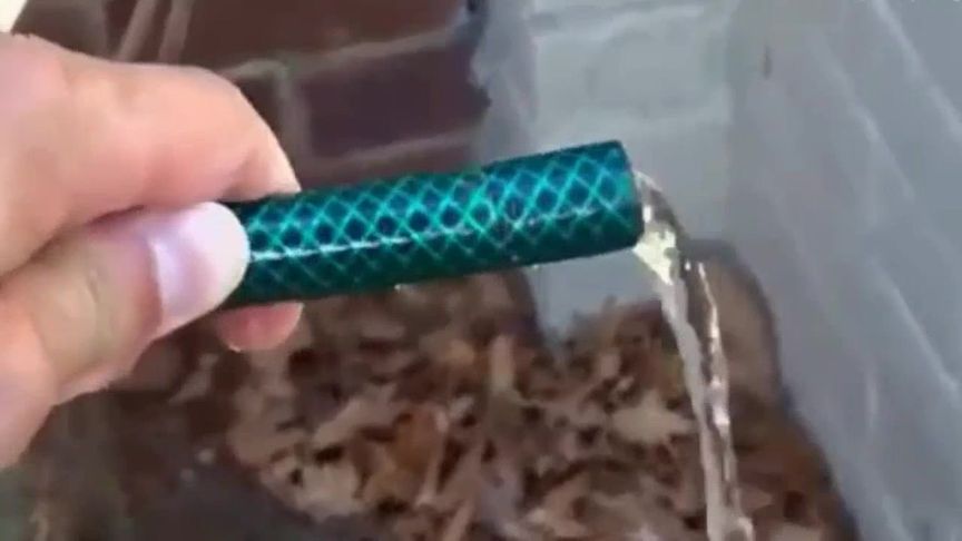 教你两个小技巧,将软管连接到任何水龙头接水,简单便捷