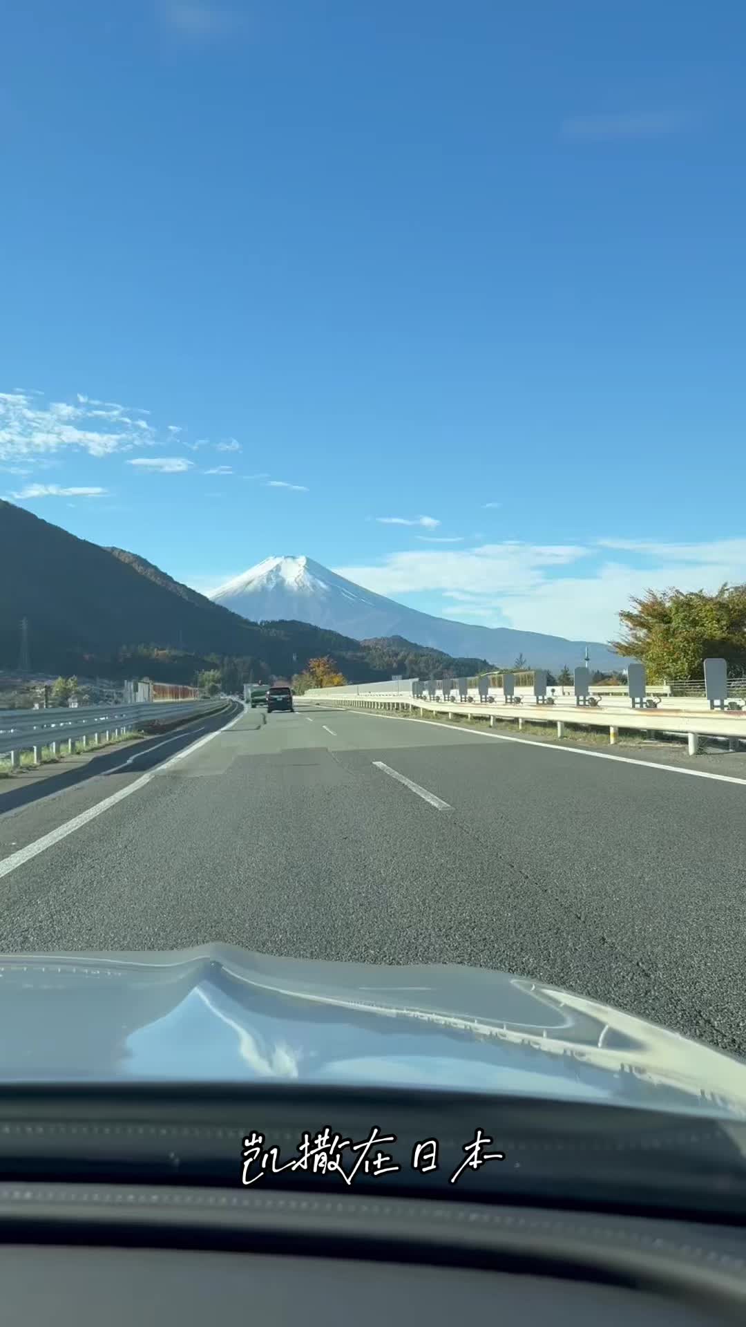 ...这个完全不同的方向,我还是很感兴趣。#日本干细胞 #日本再生医疗 #...