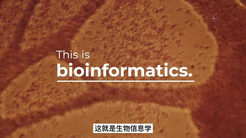 什么是生物信息学