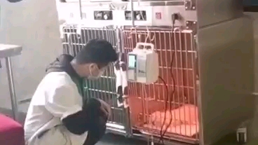 W汤姆狗宠物医院宠物住院部