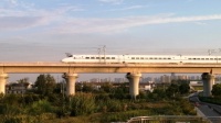 【连镇客专】D2922次(上海→淄博北)青岛动车所统型CRH2A-2359+...