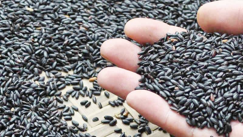 经常吃黑米好处多多,坚持6个月以上,身体会有这6个变化