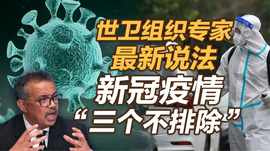 司马南:世卫组织专家最新说法,新冠疫情“三个不排除”