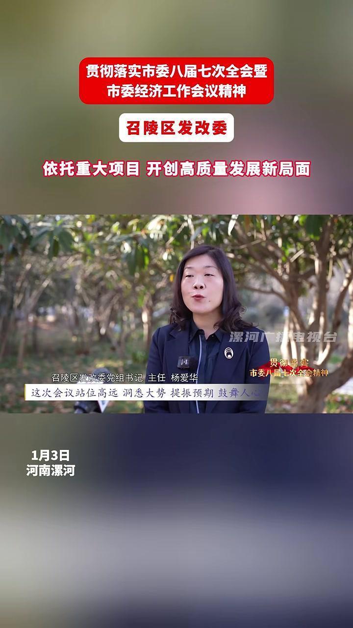 贯彻落实市委八届七次全会暨市委经济工作会议精神召陵区发改委依托...