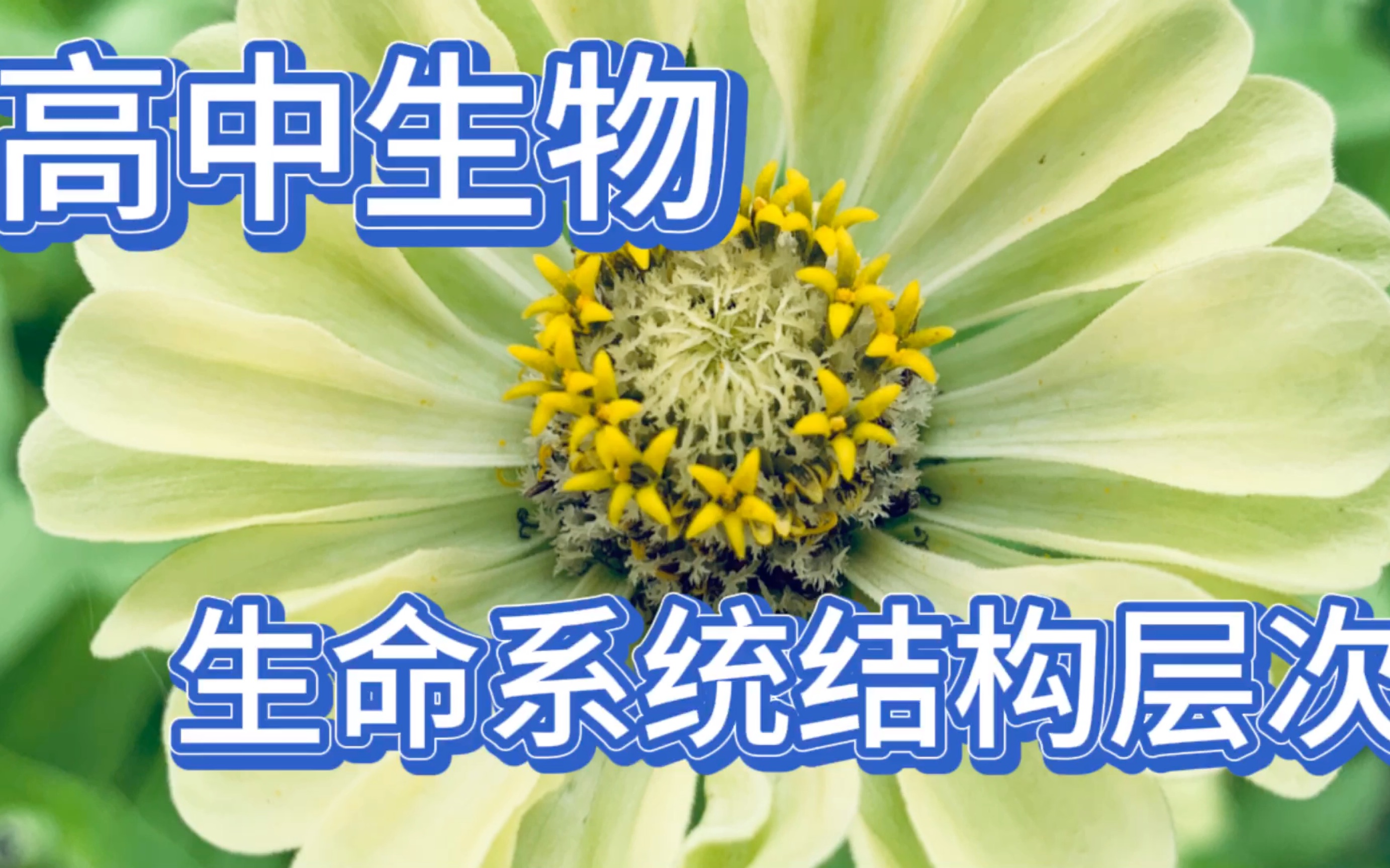 高中生物 生命系统结构层次