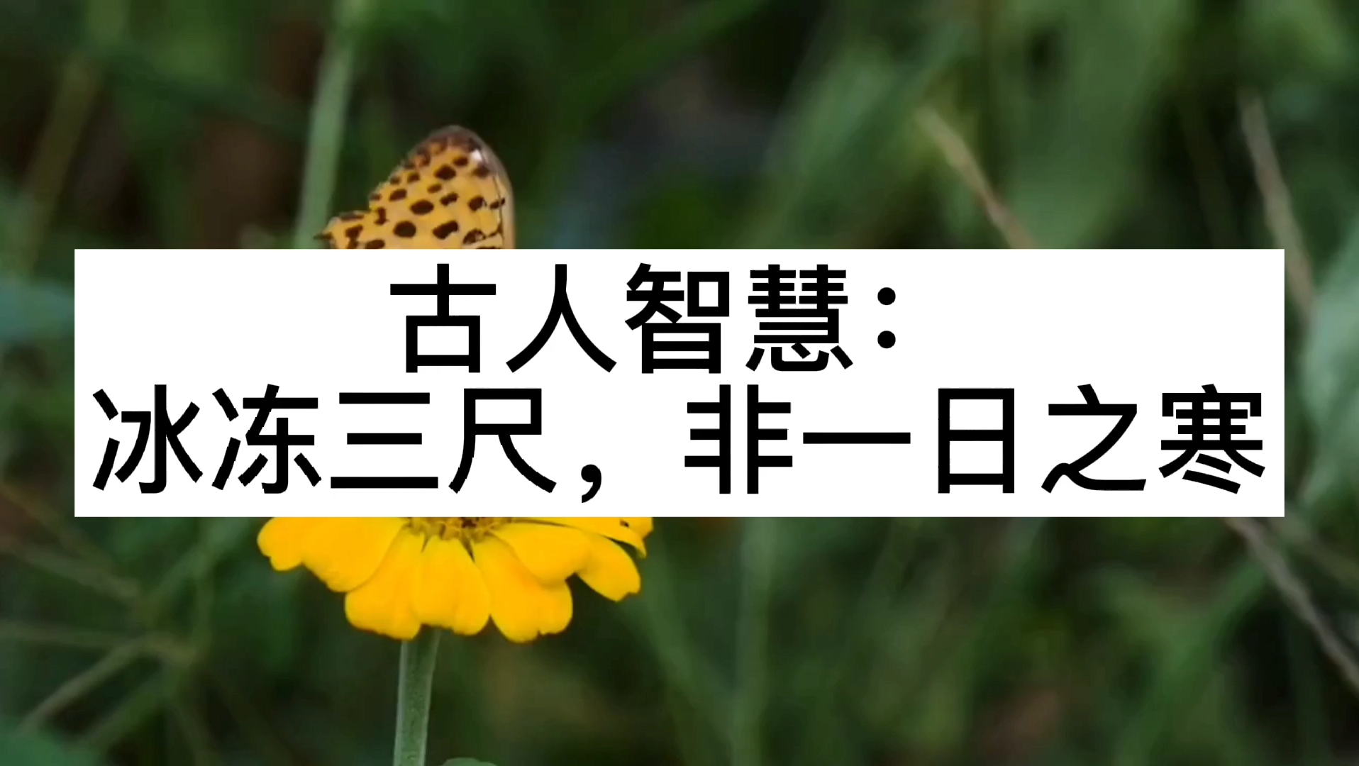 古人智慧:如何实现自己的人生价值?