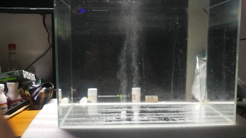 鱼缸用消毒片消毒