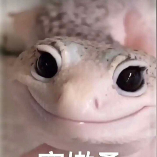 余生・请多指教 
