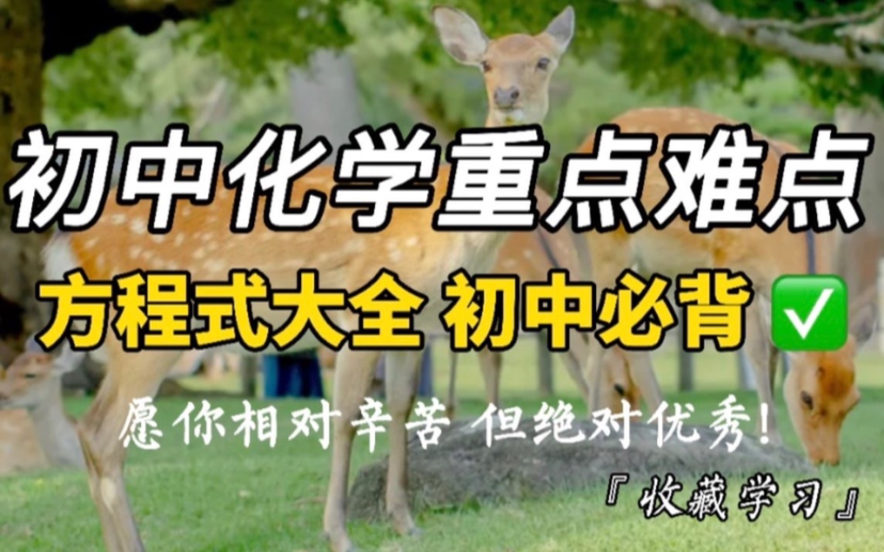 【初中化学】必备知识点,化学方程式必考知识点,超全超精,初中必备!