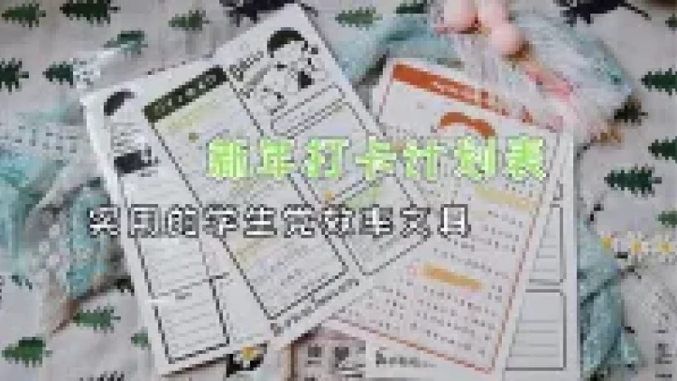 2020年手帐规划好了吗?来看我的打卡计划表,提高学习效率好方法