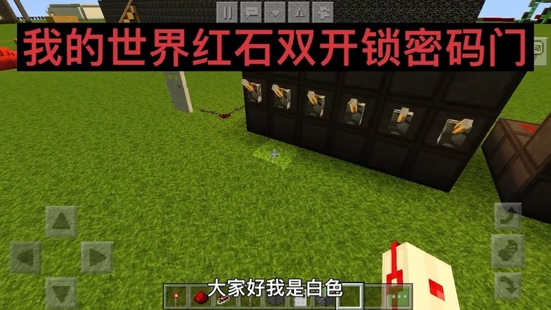 我的世界双锁门