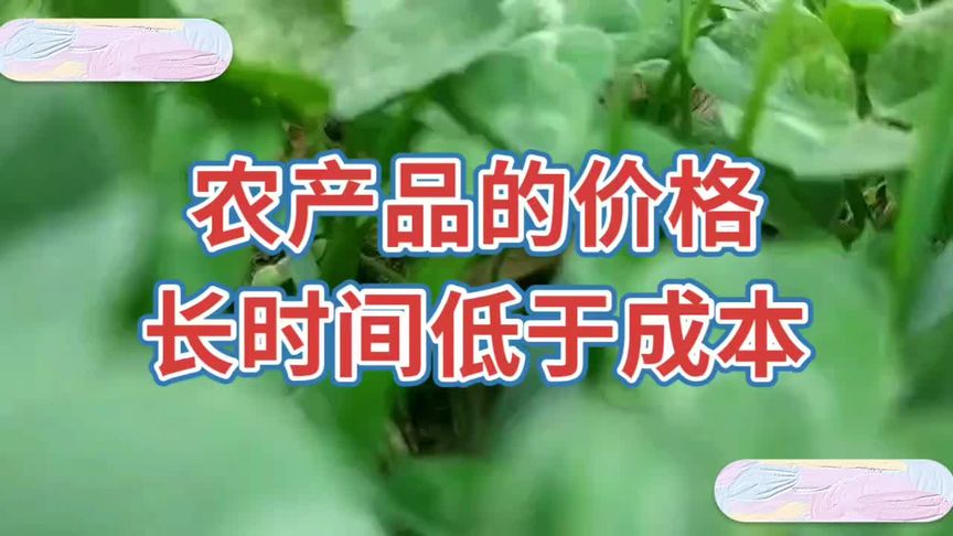 涨价规律-农产品的价格长时间低于成本,一旦供求失衡