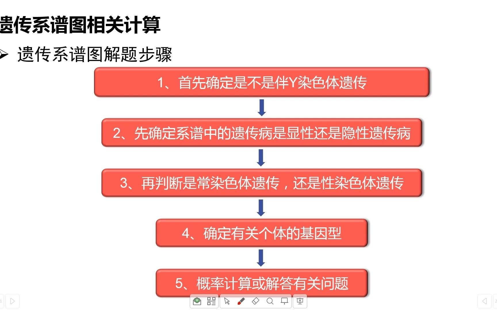 第24讲 伴性遗传相关题型 第2节课