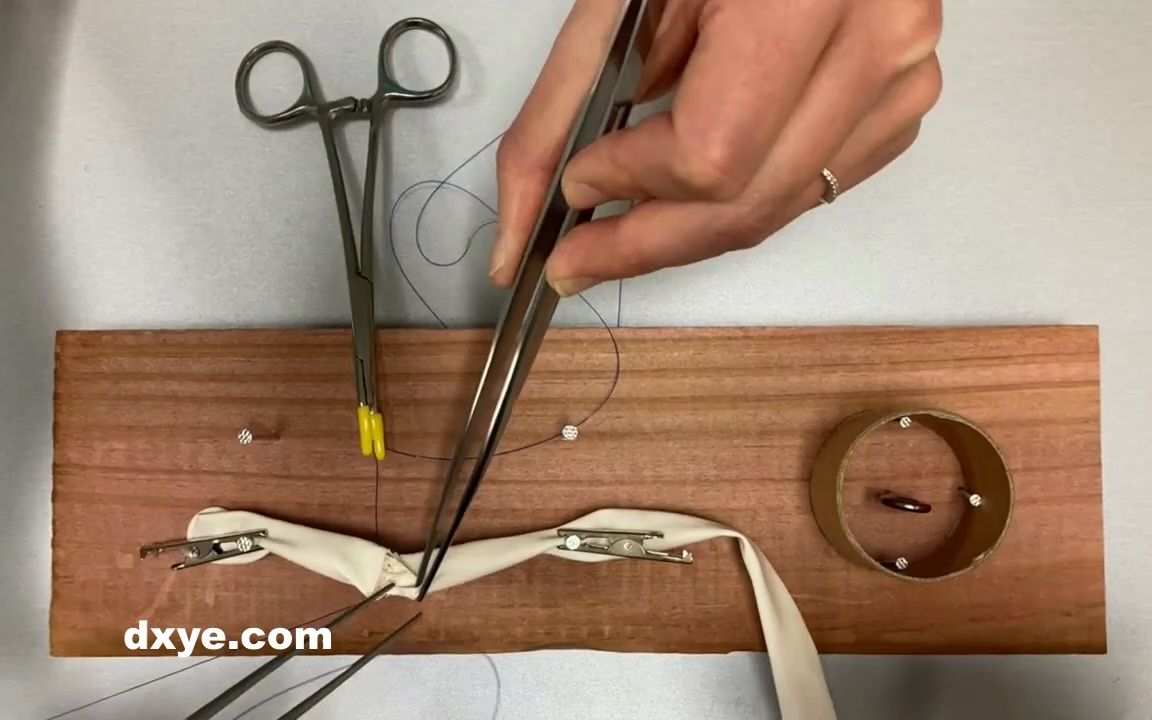 教程 - 端到端血管吻合术