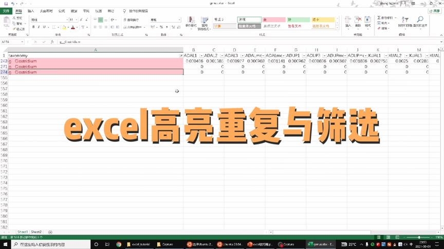 excel技巧2-高亮重复与筛选