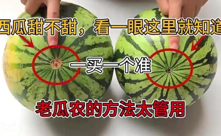 轻松挑选好西瓜!只需看准这两点!