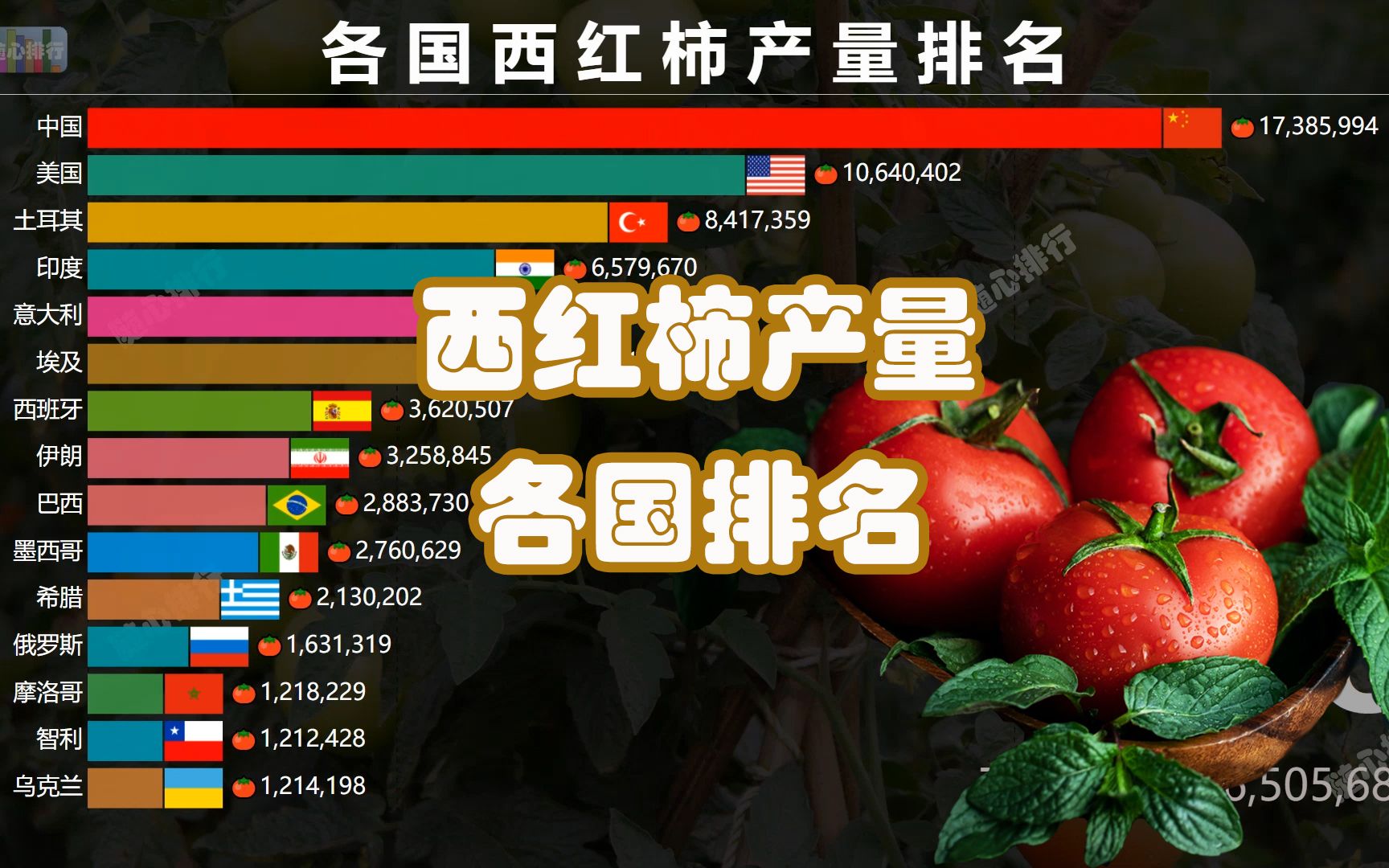 顶级番茄产量国,全球西红柿产量最多的国家,各国番茄产量排名