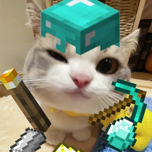 Hamster仓鼠鼠 