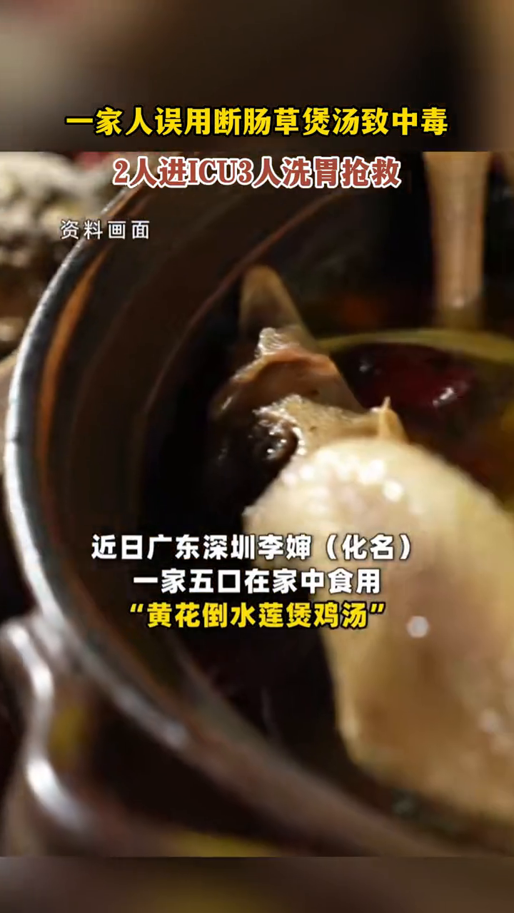 一家人误用断肠草煲汤致中毒,2人进ICU3人洗胃抢救