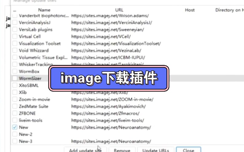 magej 下载自己想要的插件。以sholl分析的插件为例。