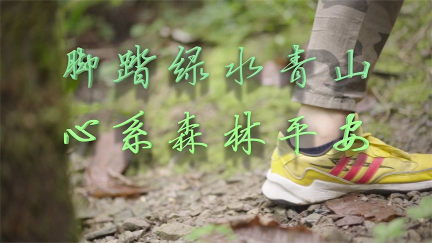 森林防火宣传片