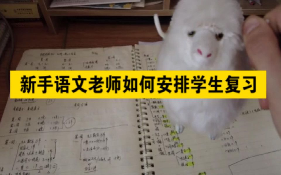 【vlog&教学干货】考前老师如何安排复习课程?