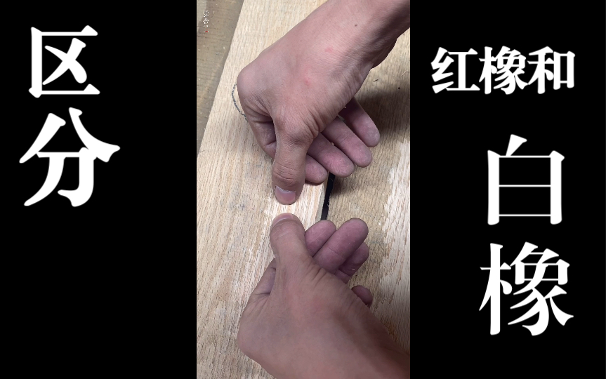 如何区分价格相差一倍的白橡木和红橡木?