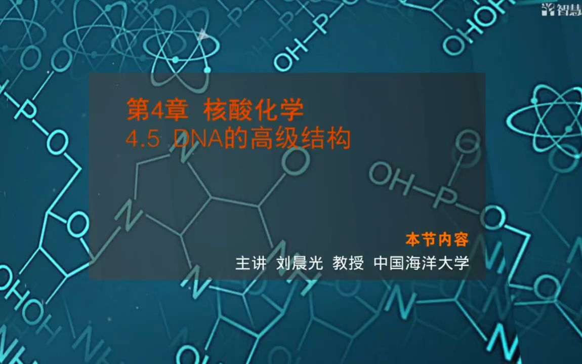 【中国海洋大学 生物化学】5.5DNA的高级结构