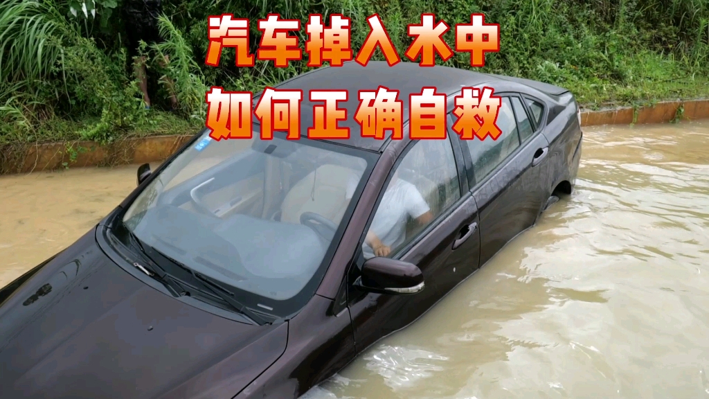 汽车意外掉入水中,如何正确自救脱困