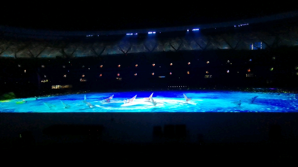 美如画的朱鹮表演(十四运开幕式)