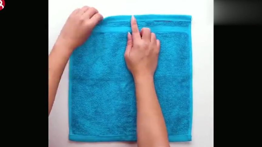 酒店毛巾动物折叠教程大全,酒店服务员教你如何用毛巾叠出白天鹅