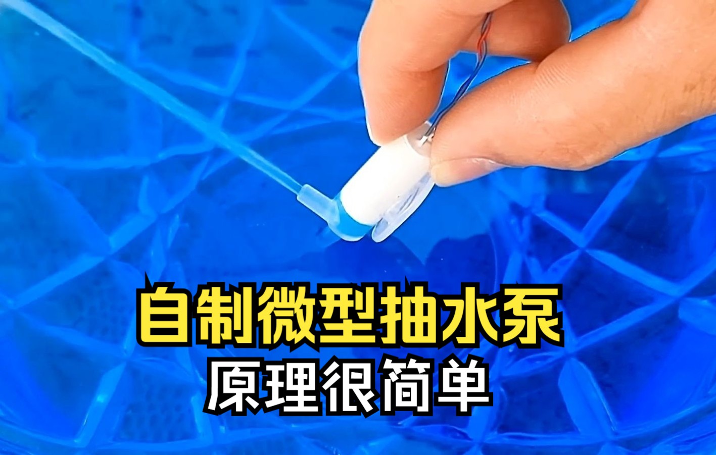 1分钟学会自己做一个小型的抽水泵,家里种盆栽的有福了,自动浇水设备