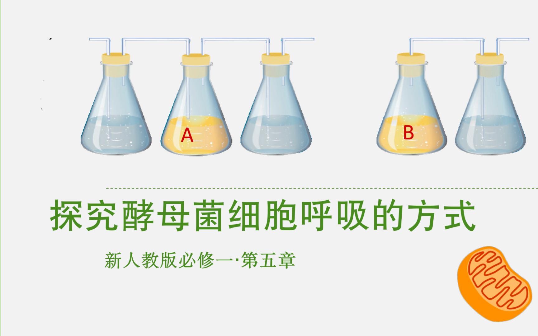 探究酵母菌细胞呼吸的方式