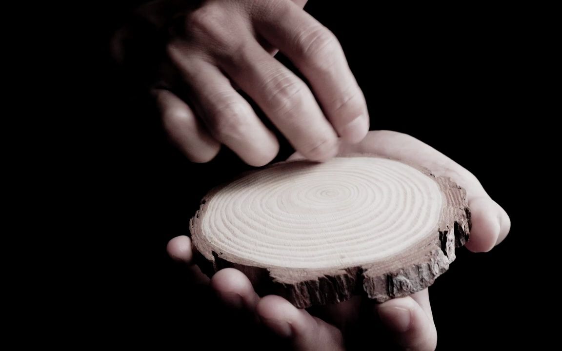 nonoASMR-Expert hand and raw hand sounds _ hand movements ASMR