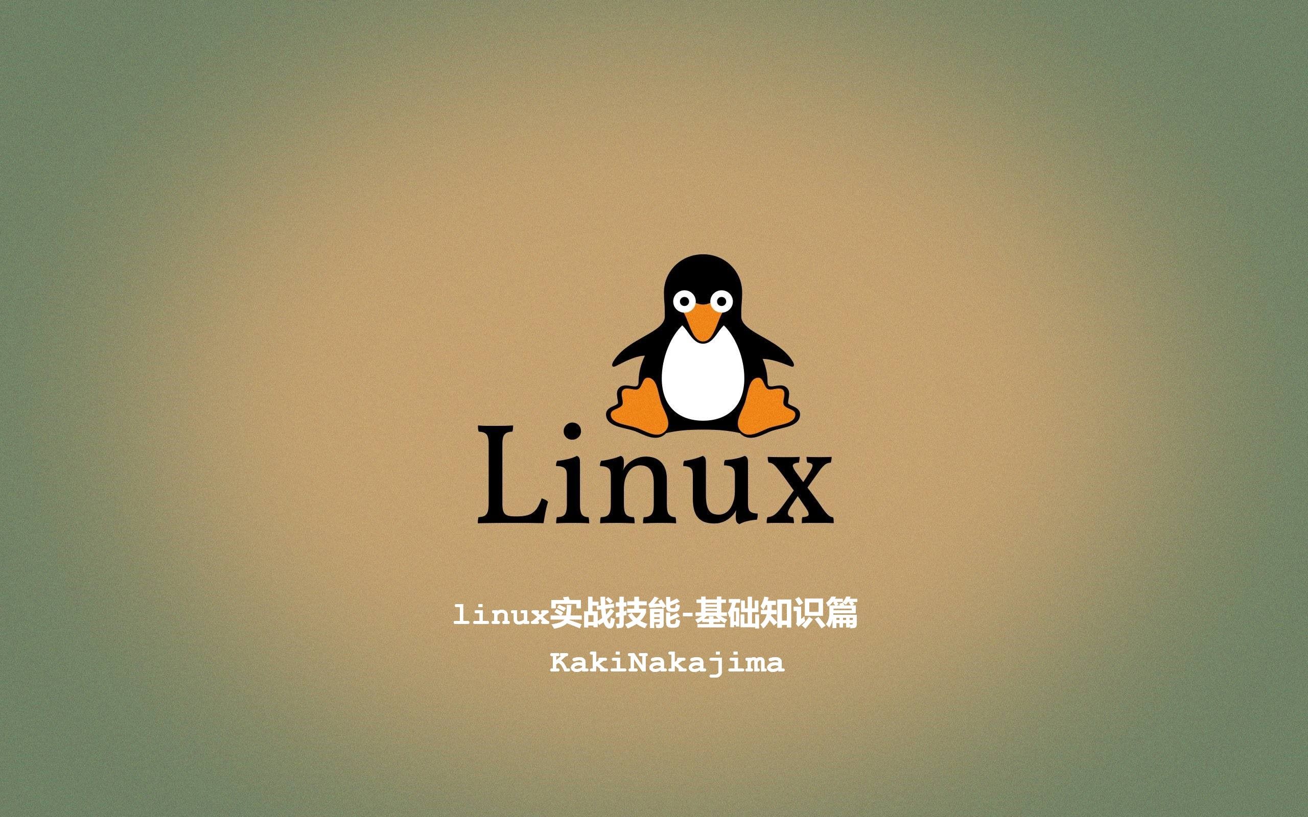linux实战技能-基础知识篇
