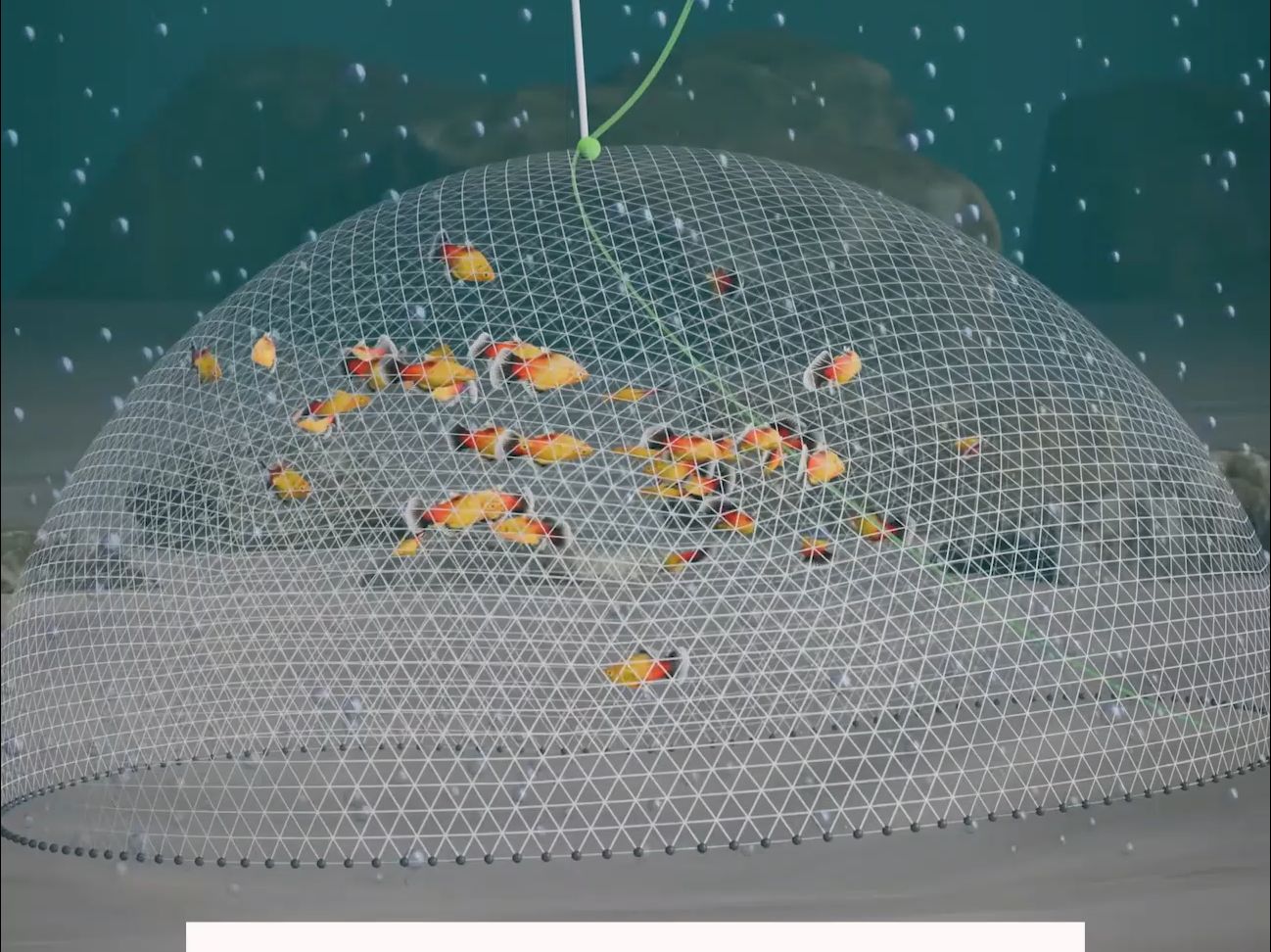 撒网捕鱼的原理