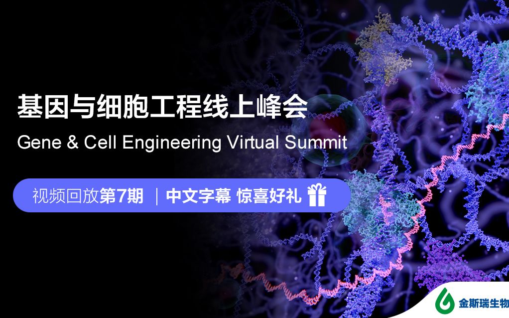 如何利用酶工程、酶固定化等提高氨基醇的生产率?