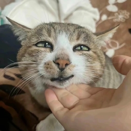 哎你别穿啊 