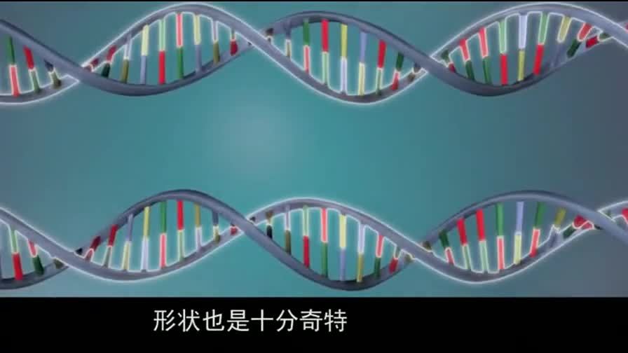 小伙用巴克球制作DNA模型,原来人体的结构是这样的,快来见识下