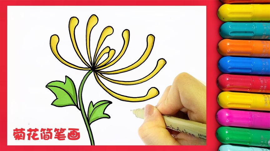 重阳节,菊花简笔画(画法二)