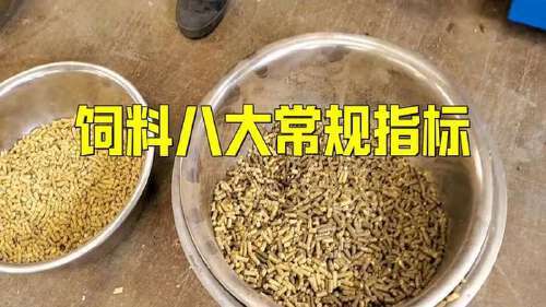 饲料关键指标全解析:这八项数据决定养殖效益!