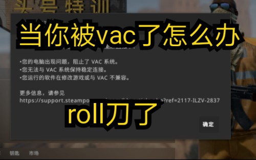 csgo当你被vac了怎么办,roll刀啦