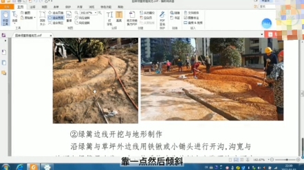 绿篱栽植技巧(举例说明)