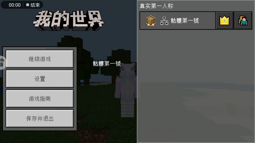 我的世界模組 《真实第一人称》