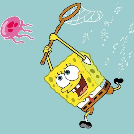 我是一块老海绵 